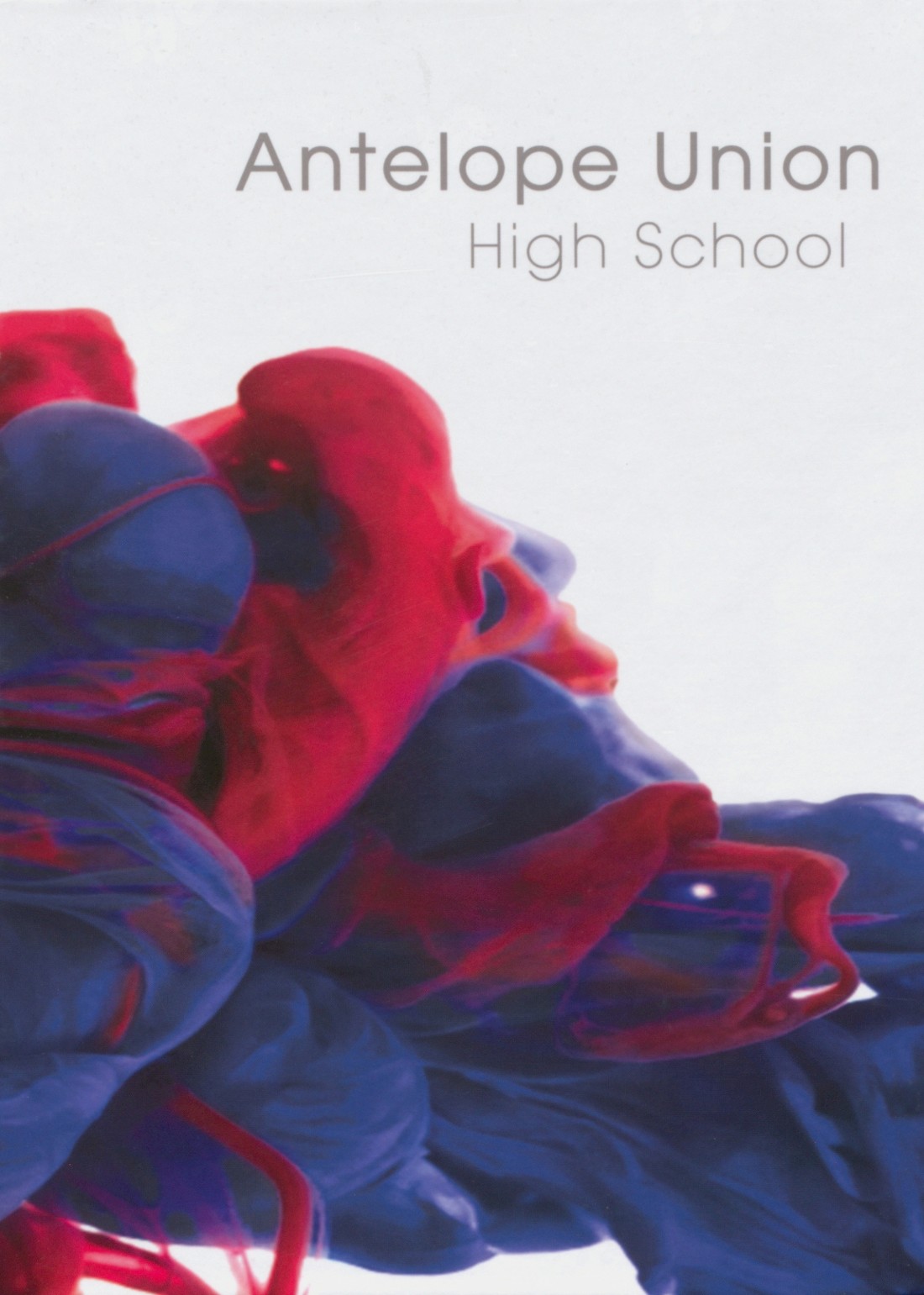 2016 yearbook from Antelope High School from Wellton, Arizona for sale