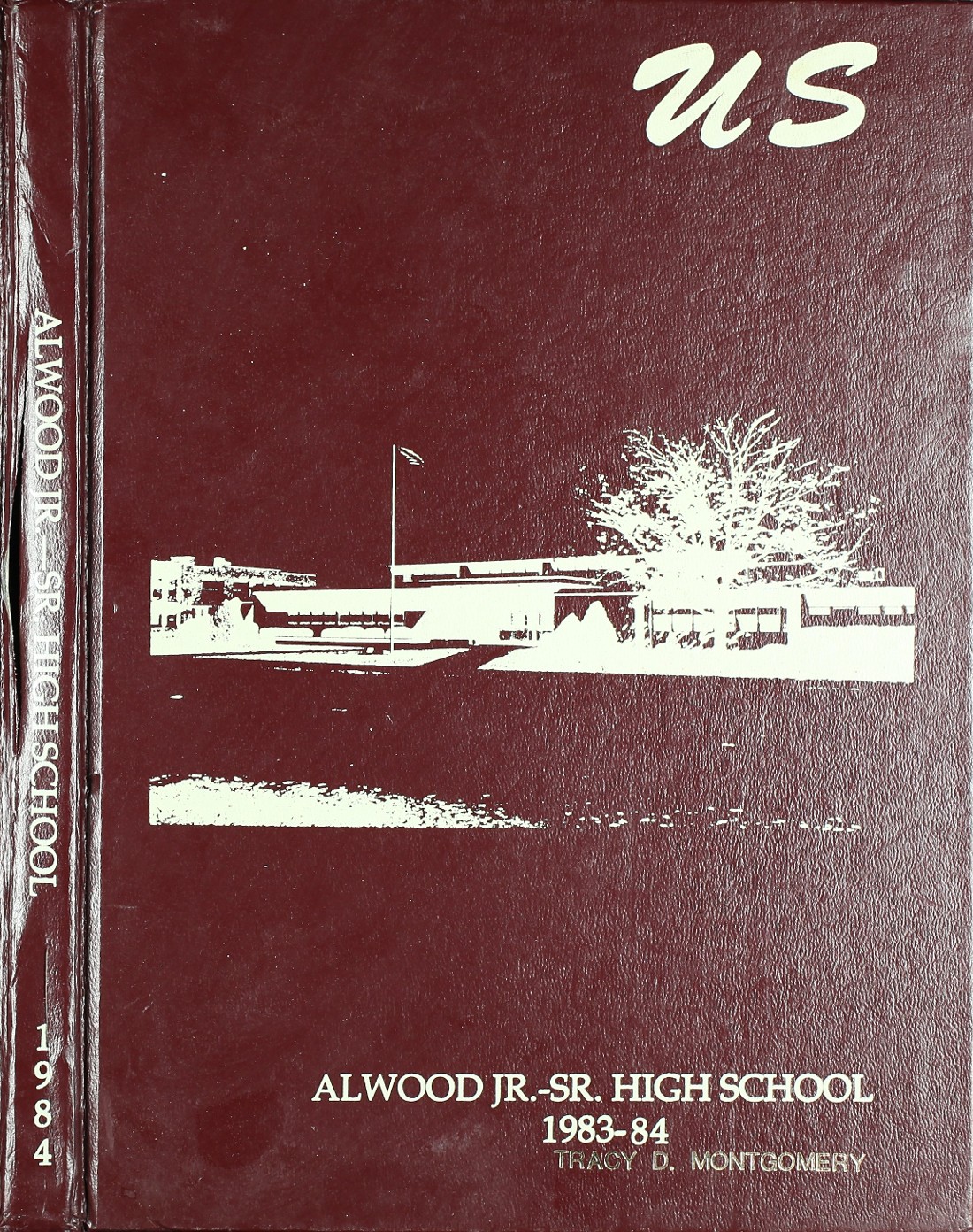 1984 yearbook from Alwood High School from Woodhull, Illinois for sale