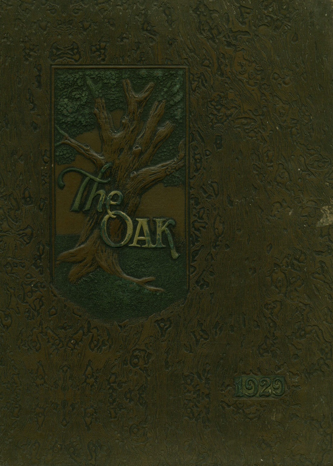 1929 yearbook from Adamson High School from Dallas, Texas for sale