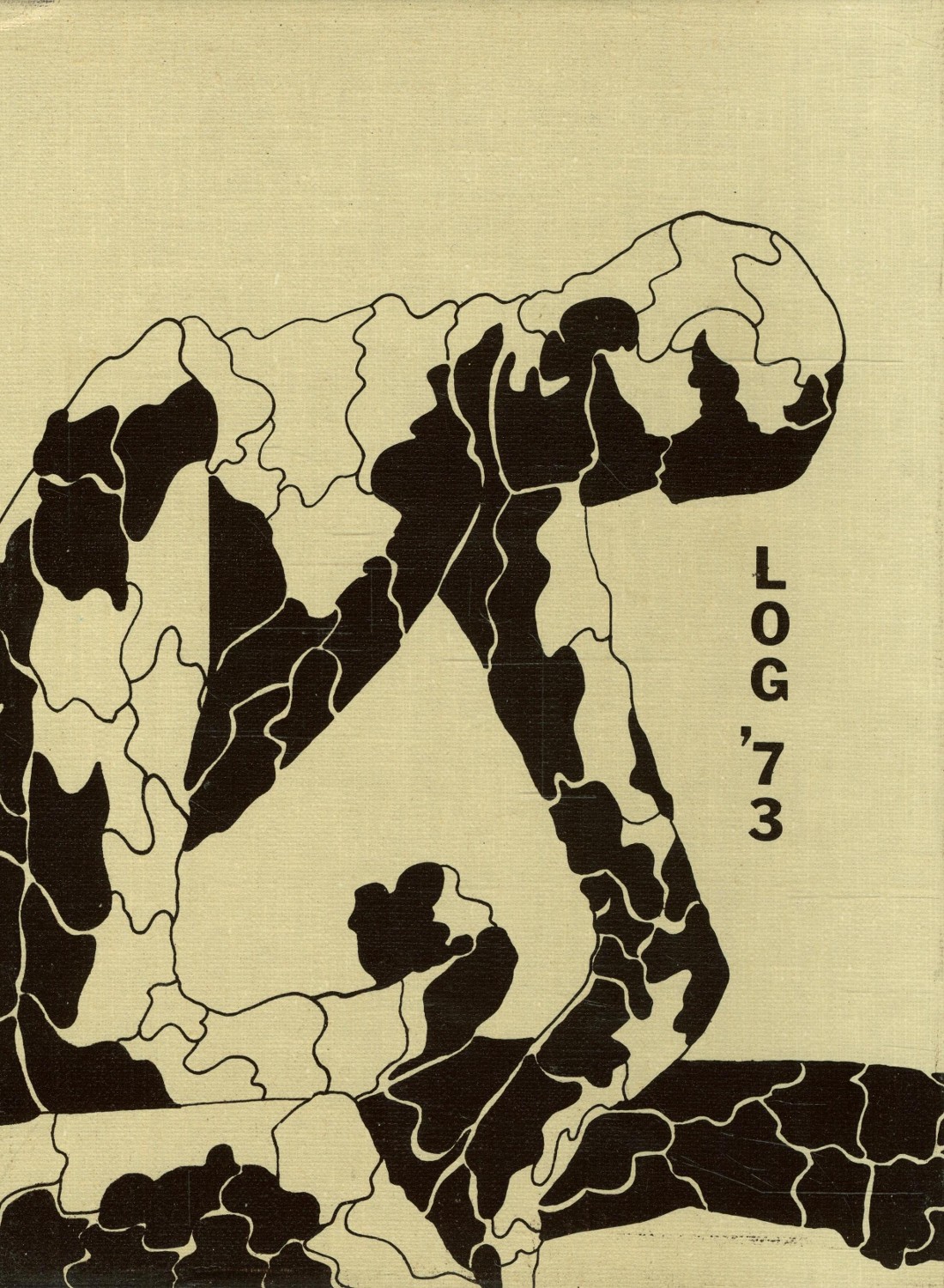 1973 yearbook from Carey High School from Franklin square, New York for ...