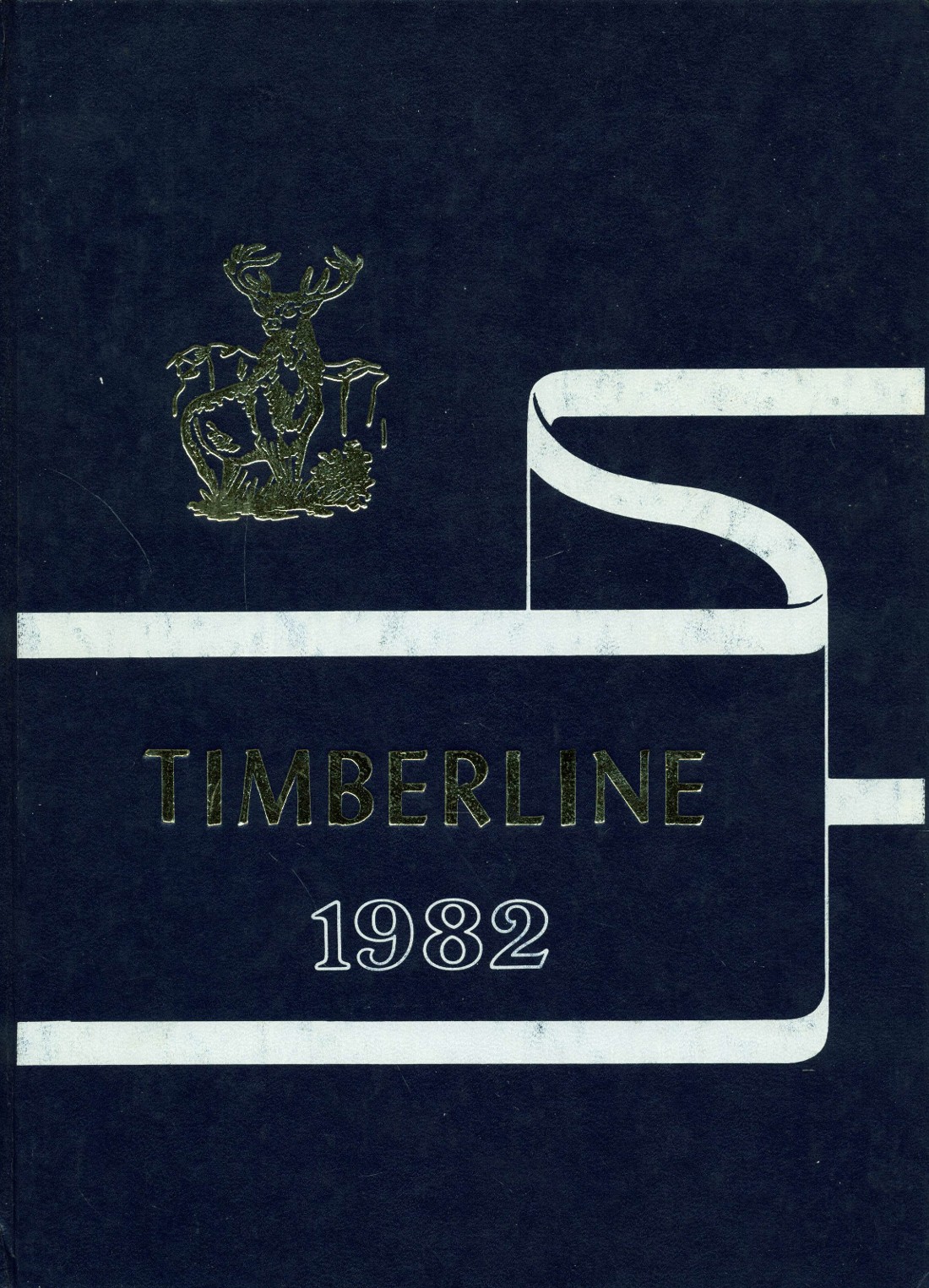 1982 yearbook from Lake Quinault High School from Amanda park ...