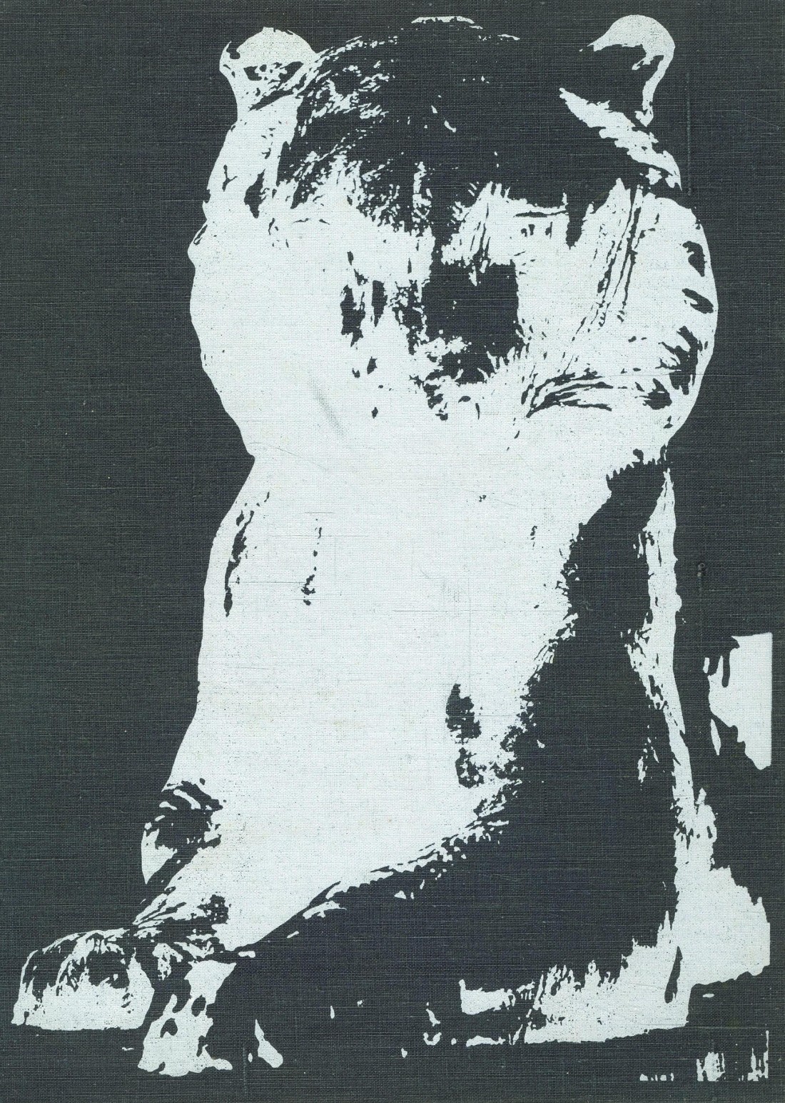 1977 Yearbook From Princeton High School From Princeton New Jersey For 1977 Yearbook From Princeton High School From Princeton New Jersey For