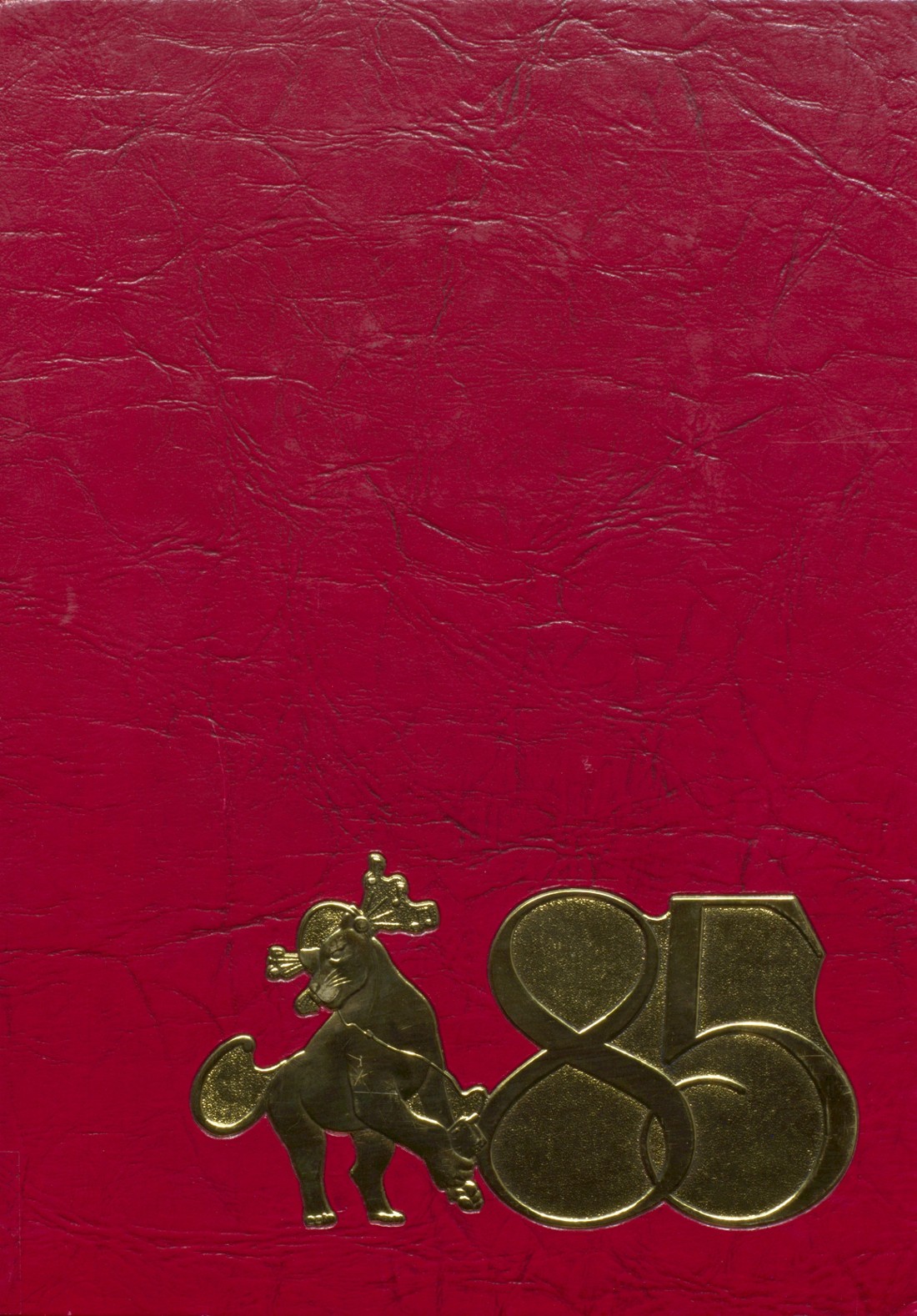 1985 yearbook from Stevens Point Area High School from Stevens point ...