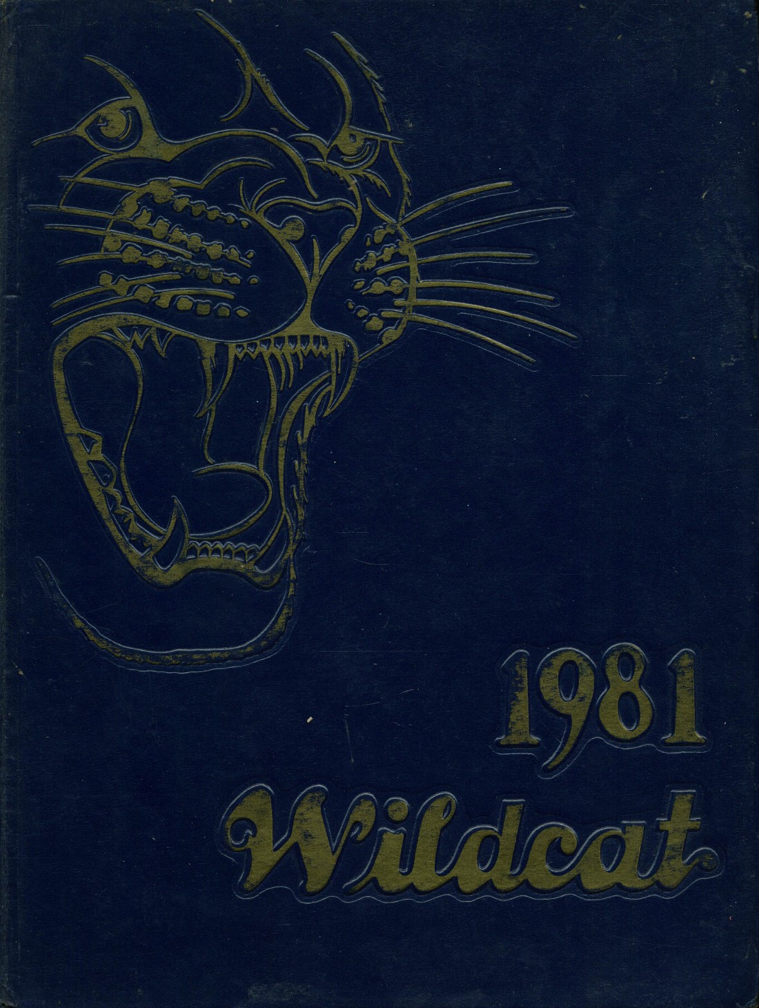 1981 yearbook from Franklin-Simpson High School from Franklin, Kentucky