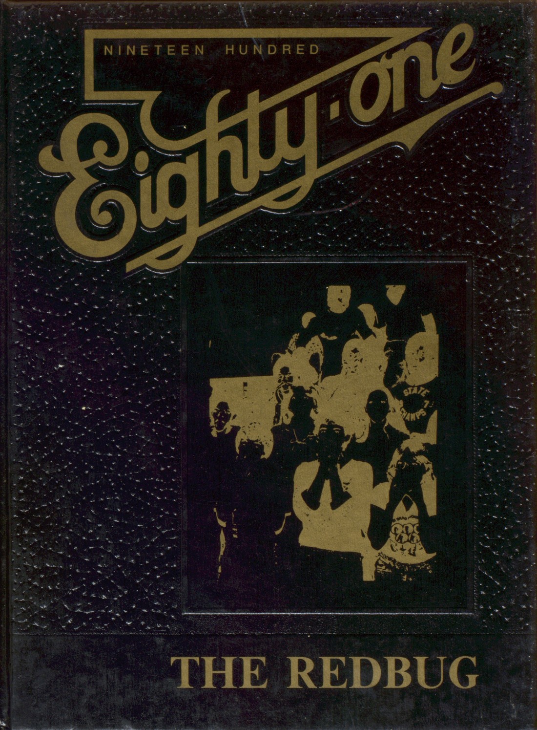 1981 yearbook from Fordyce High School from Fordyce, Arkansas for sale