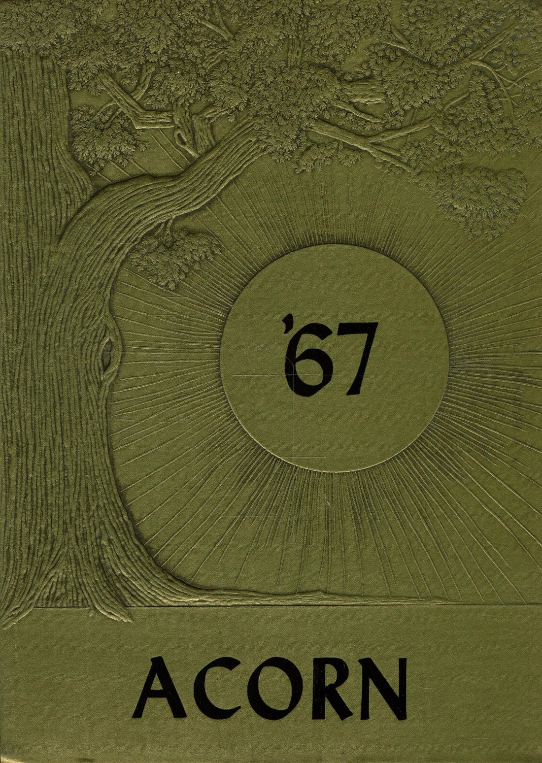 1967 yearbook from Cook County High School from Adel, Georgia for sale