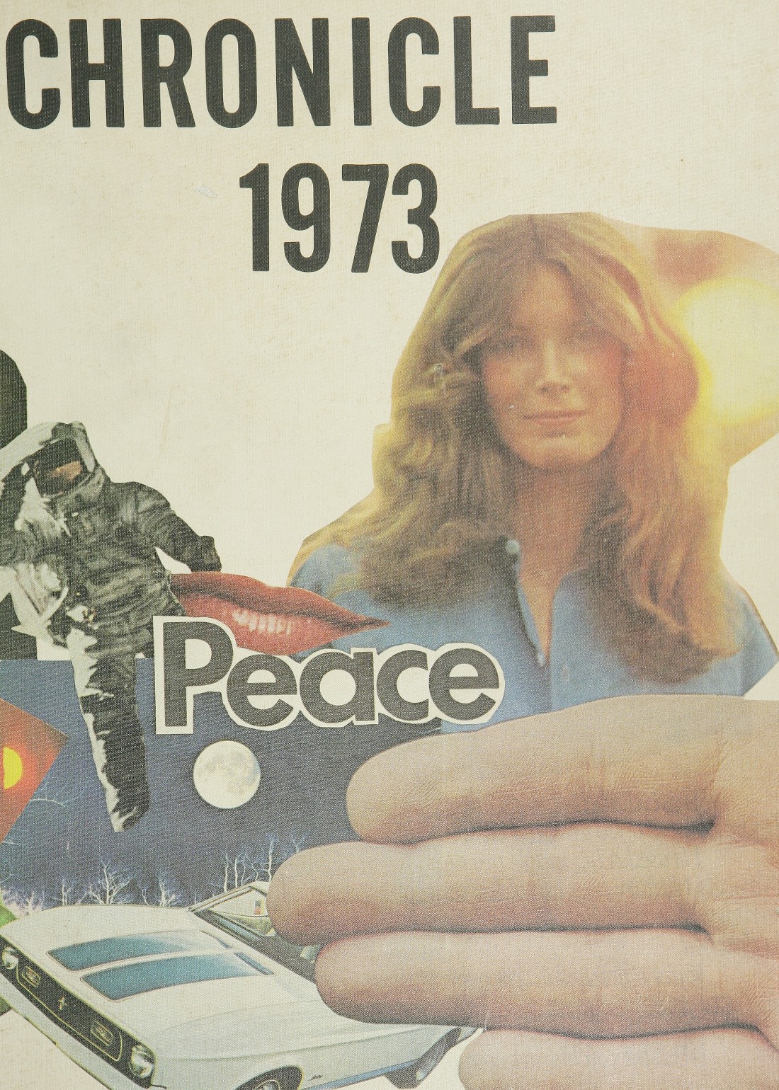 1973 yearbook from Alliance High School from Alliance, Ohio for sale