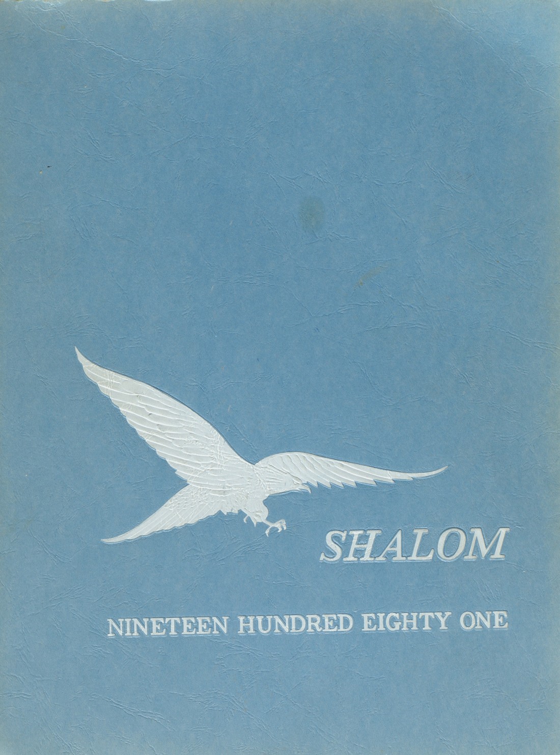 1981 yearbook from Paul VI High School from Haddonfield, New Jersey for ...