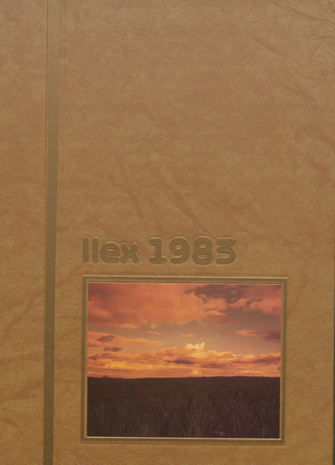 1983 yearbook from Woodland High School from Woodland, California for sale