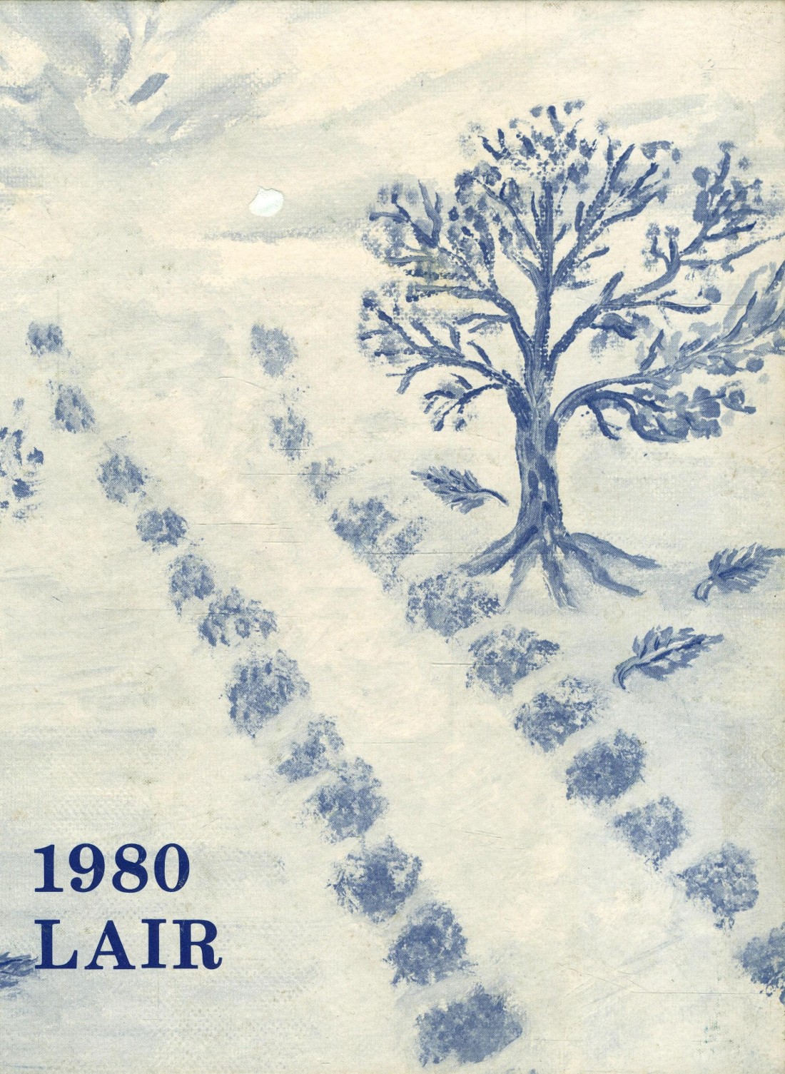 1980 yearbook from Avalon Academy from Dillon, South Carolina
