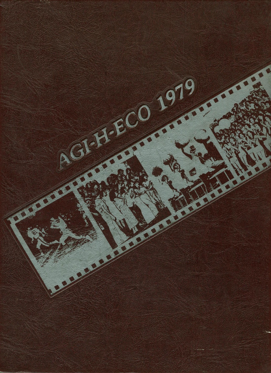 1979 yearbook from Hamilton High School from Hamilton, Alabama