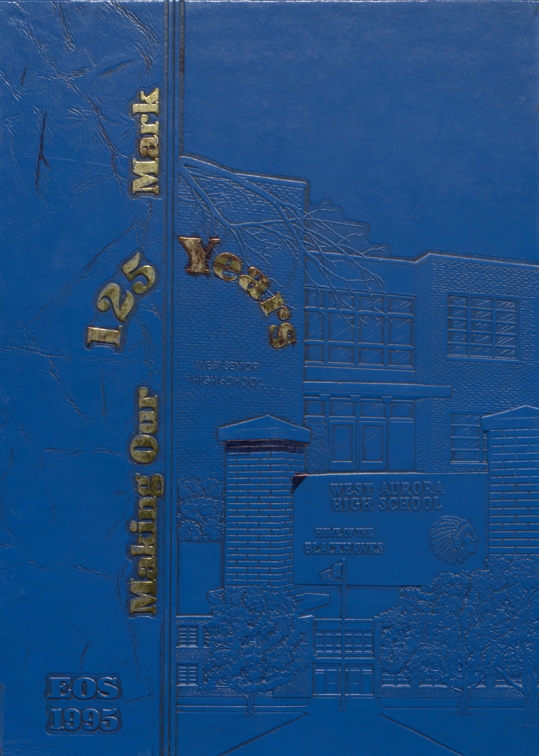 1995 yearbook from West Aurora High School from Aurora, Illinois for sale
