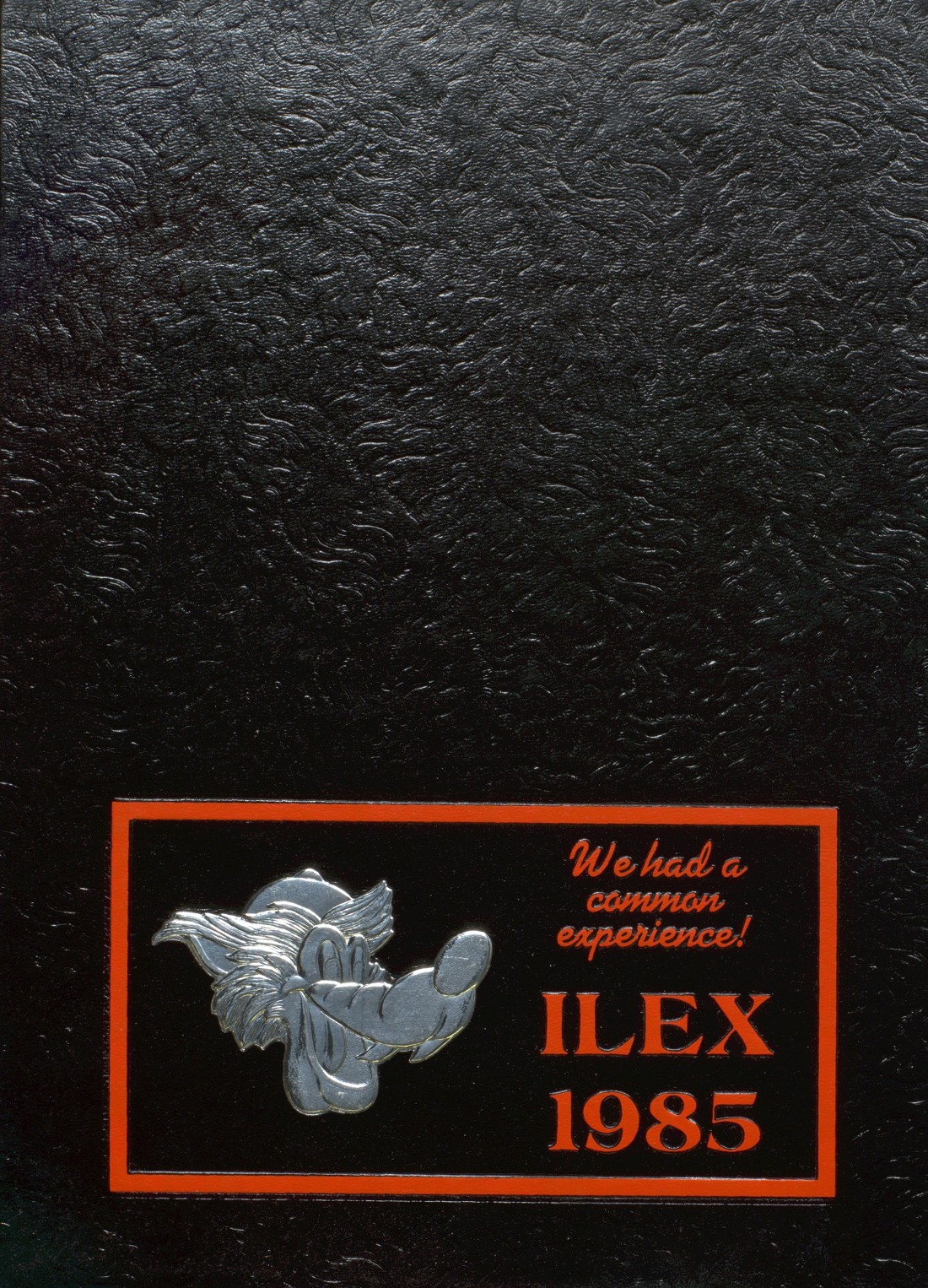 1985 yearbook from Woodland High School from Woodland, California for sale