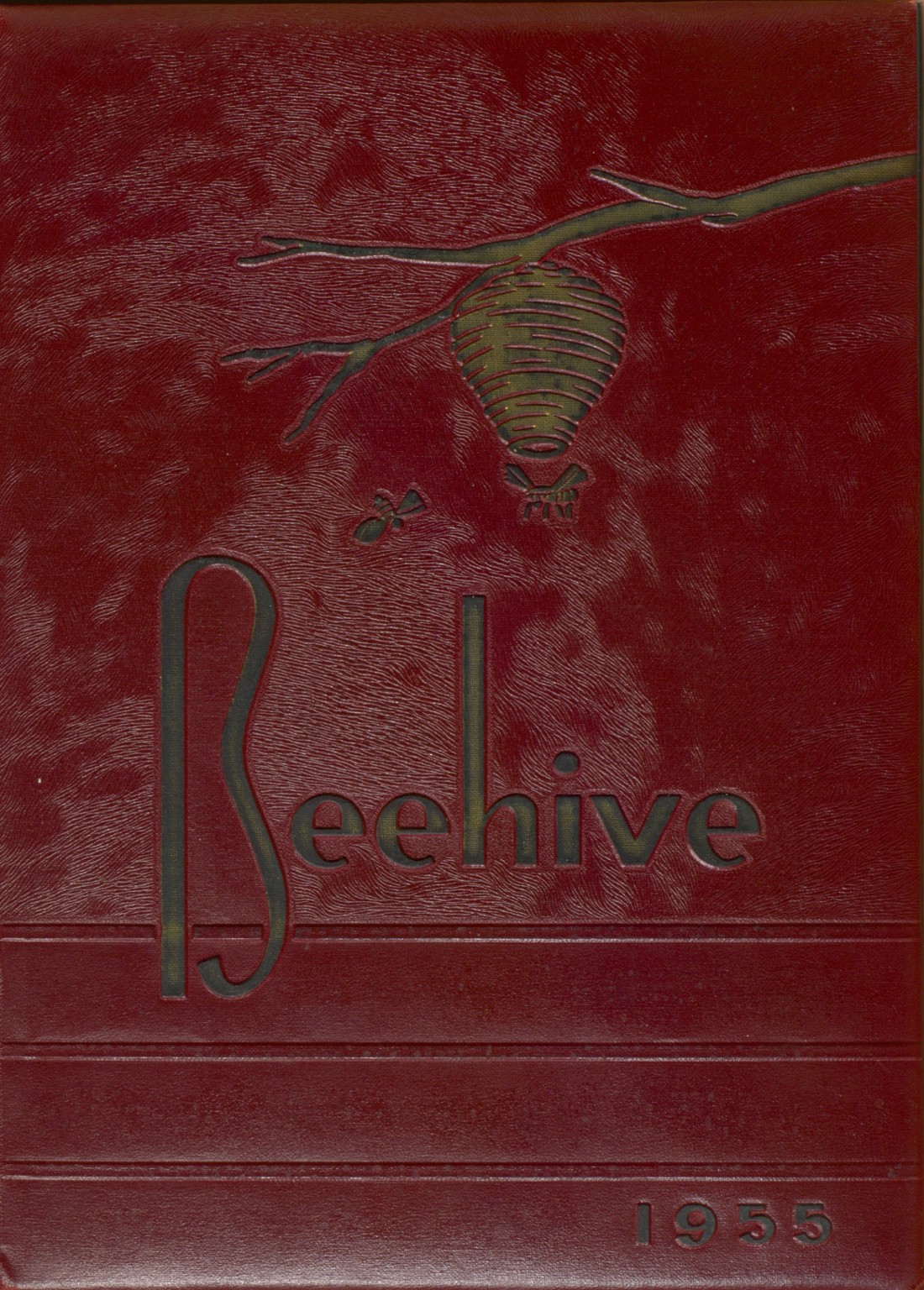 1955 yearbook from New Britain High School from New britain ...