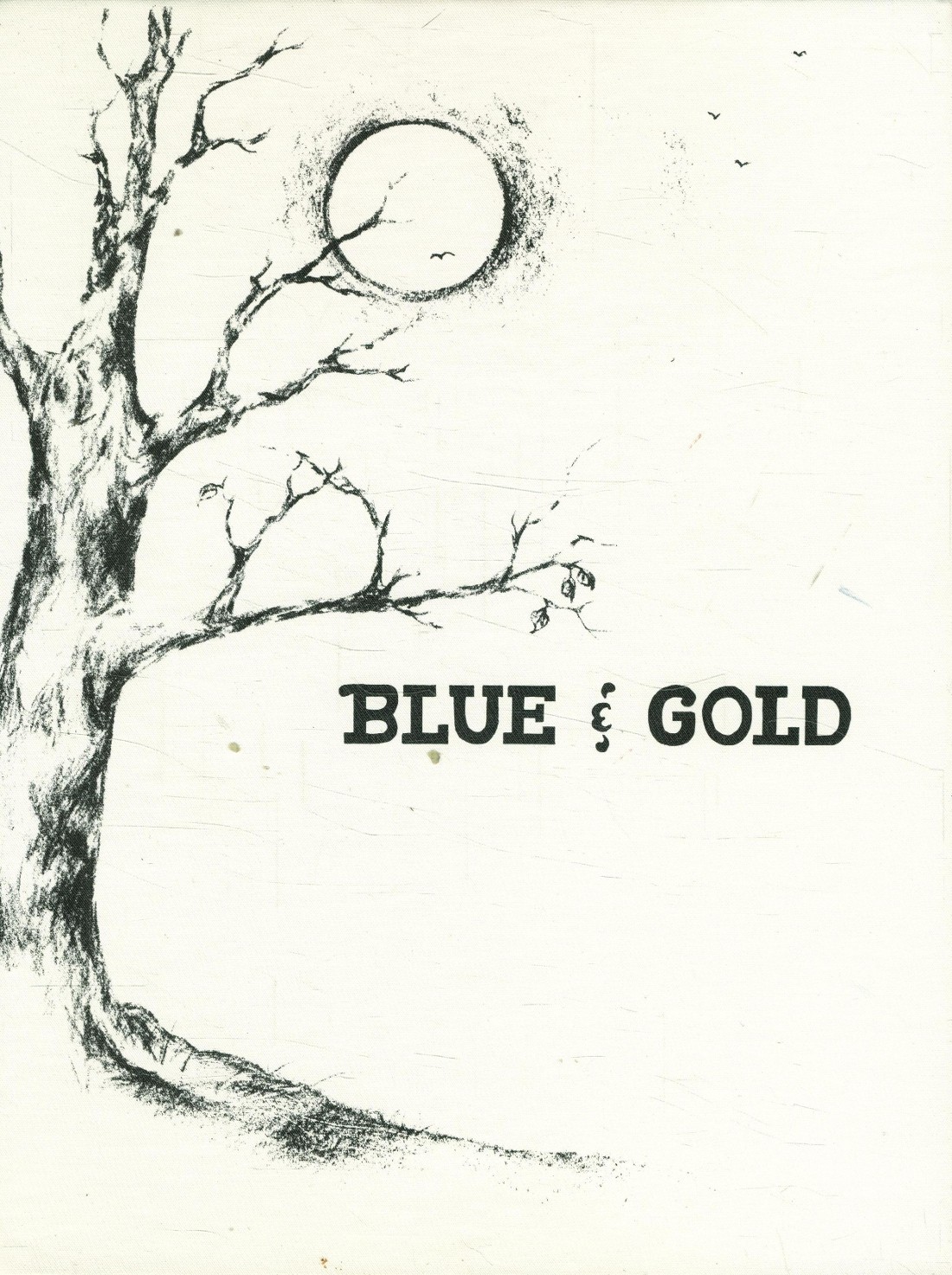 1973 yearbook from Hilo High School from Hilo, Hawaii