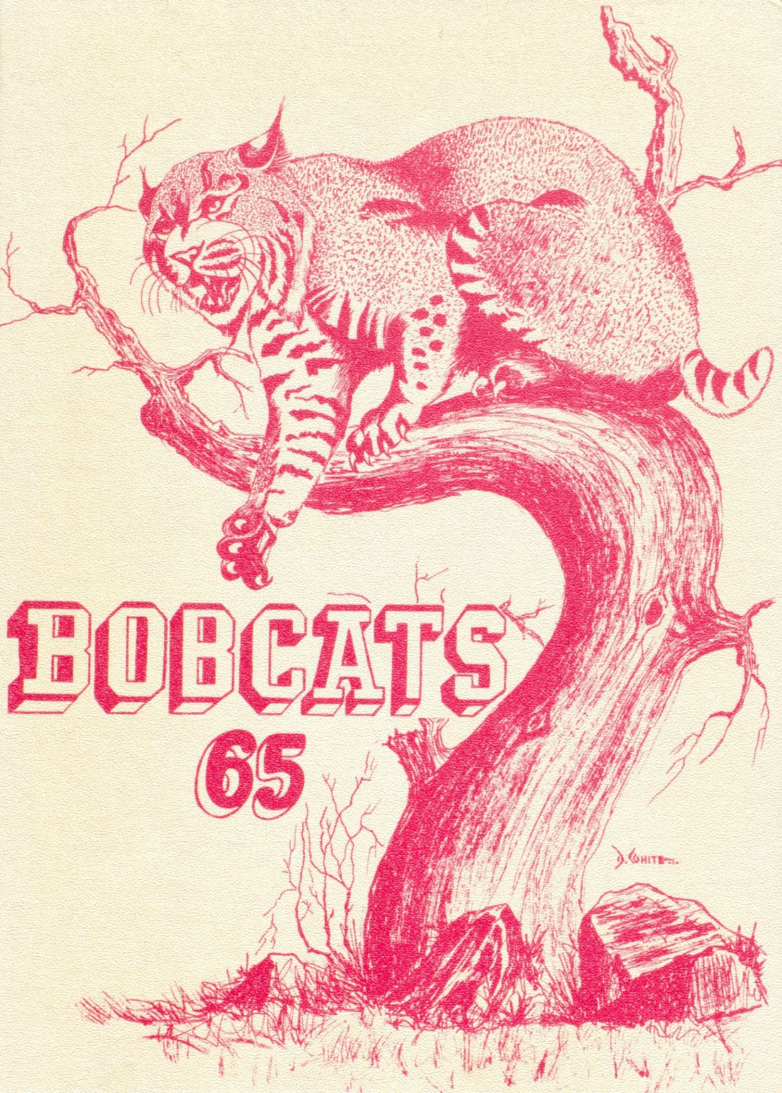 1965 yearbook from Ignacio High School from Ignacio, Colorado for sale