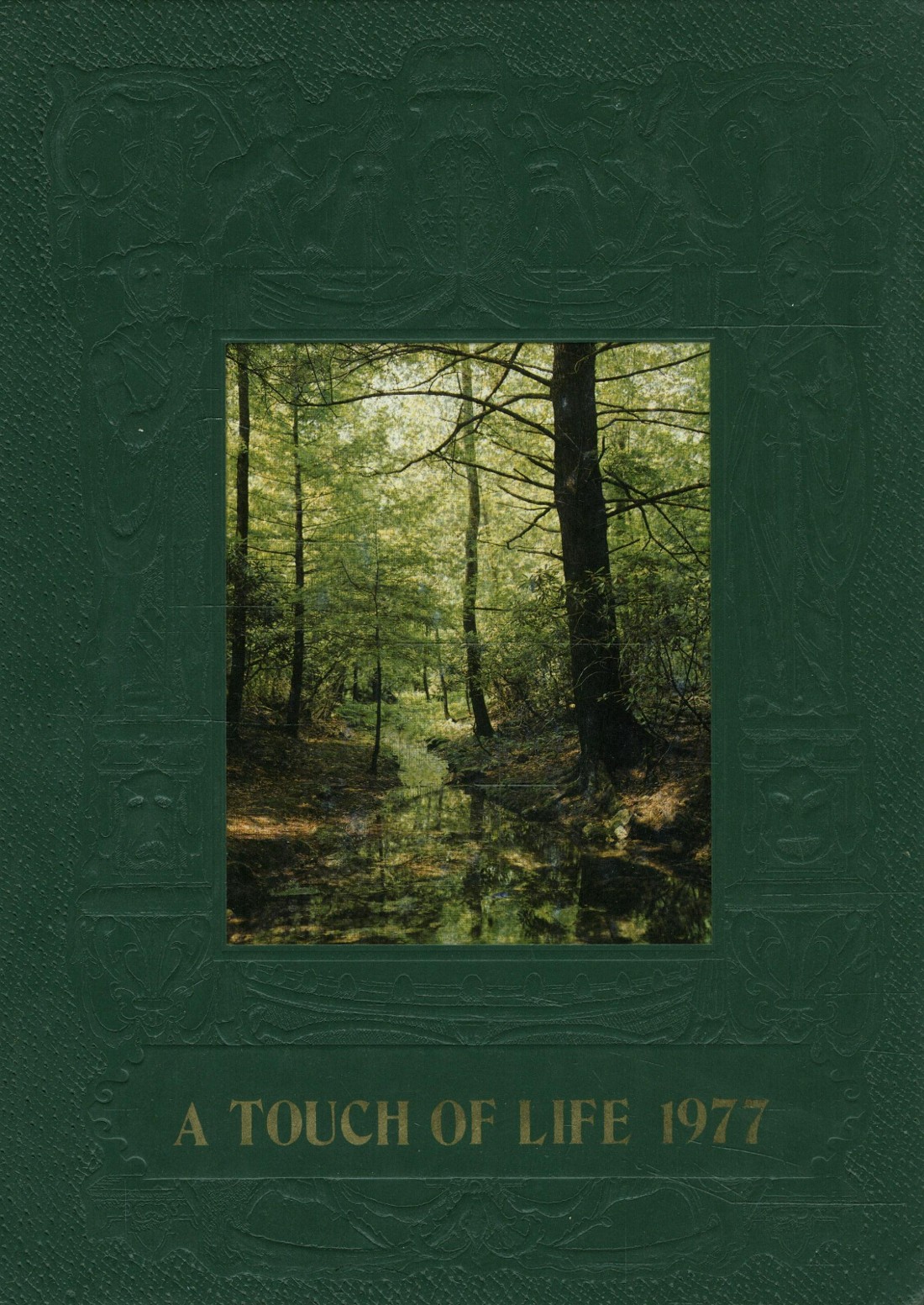 1977 yearbook from Pierz Healy High School from Pierz, Minnesota for sale
