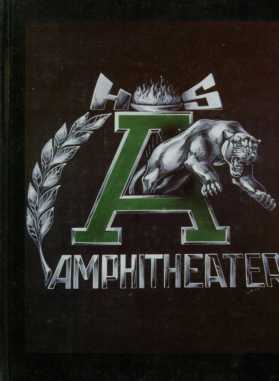 1981 yearbook from Amphitheater High School from Tucson, Arizona