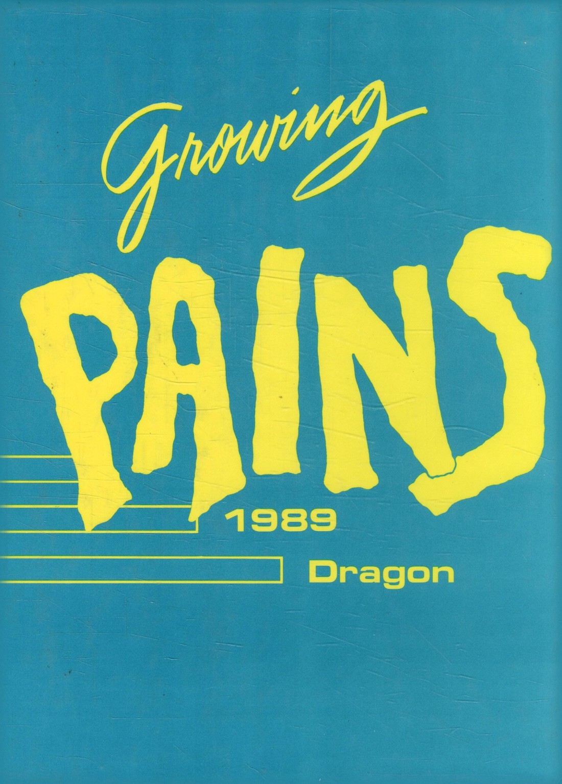 1989 yearbook from Redwater High School from Redwater, Texas for sale