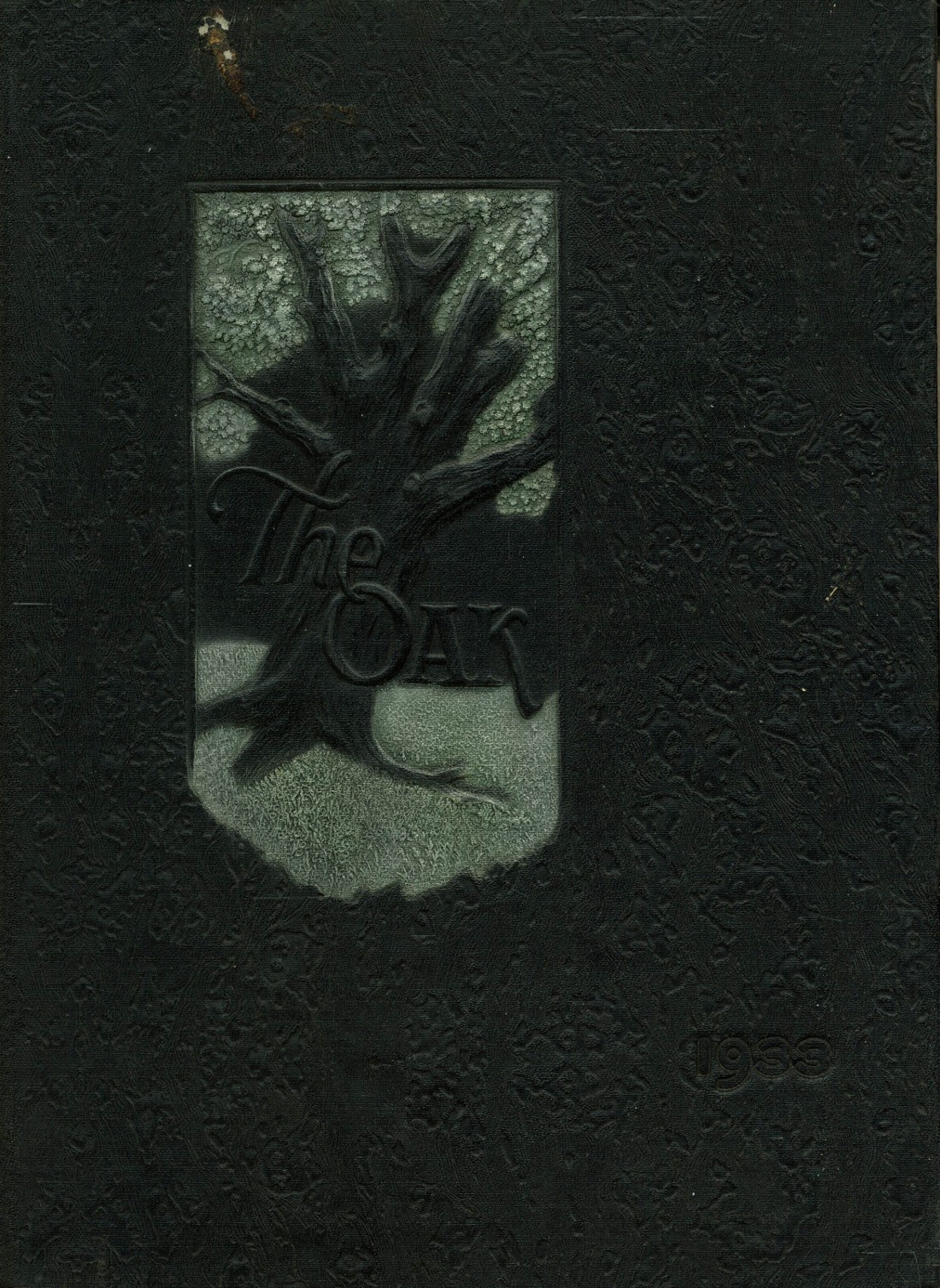 1933 yearbook from Adamson High School from Dallas, Texas for sale