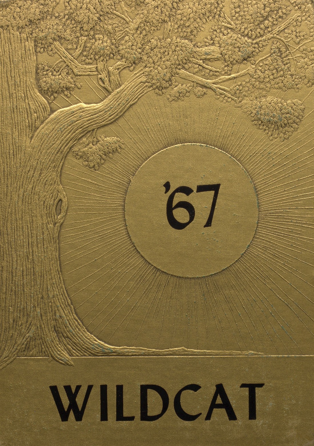 1967 yearbook from Archer City High School from Archer city, Texas for sale