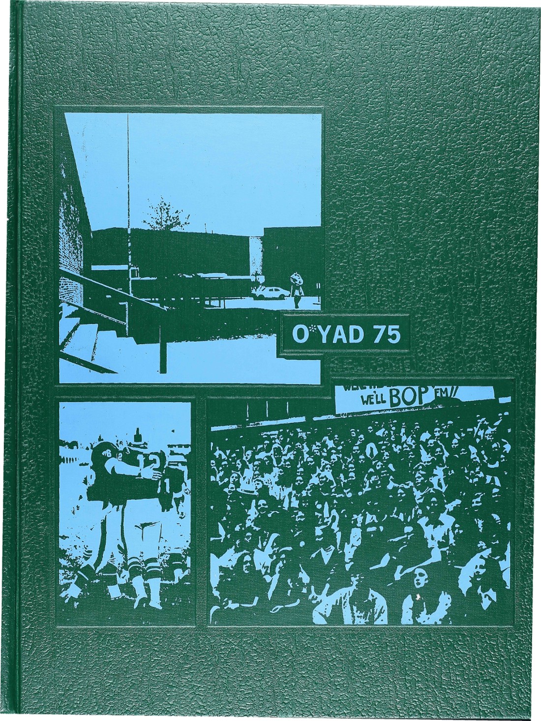 1975 yearbook from Deerfield High School from Deerfield, Illinois