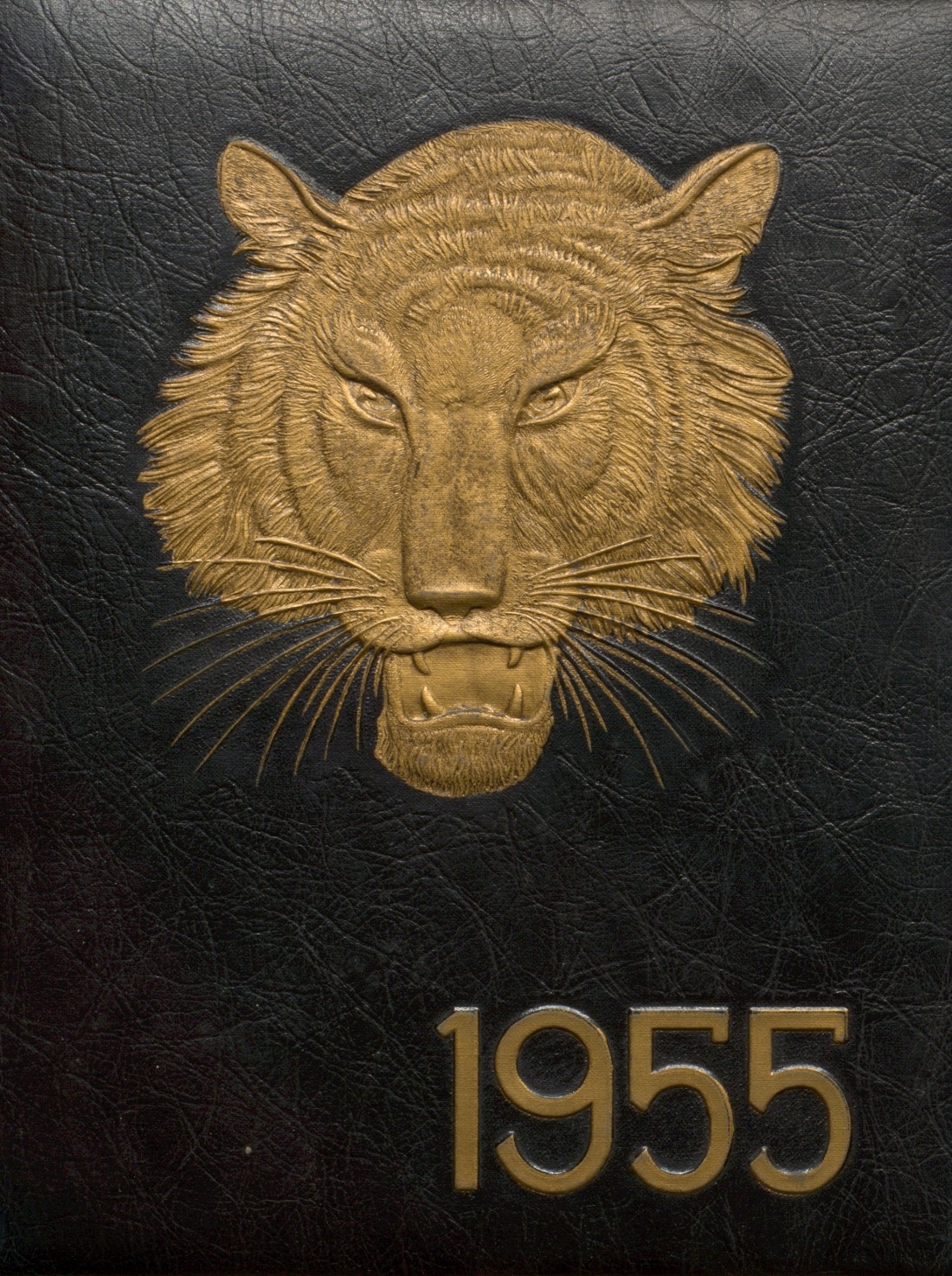 1955 yearbook from Darby High School from Darby, Montana for sale