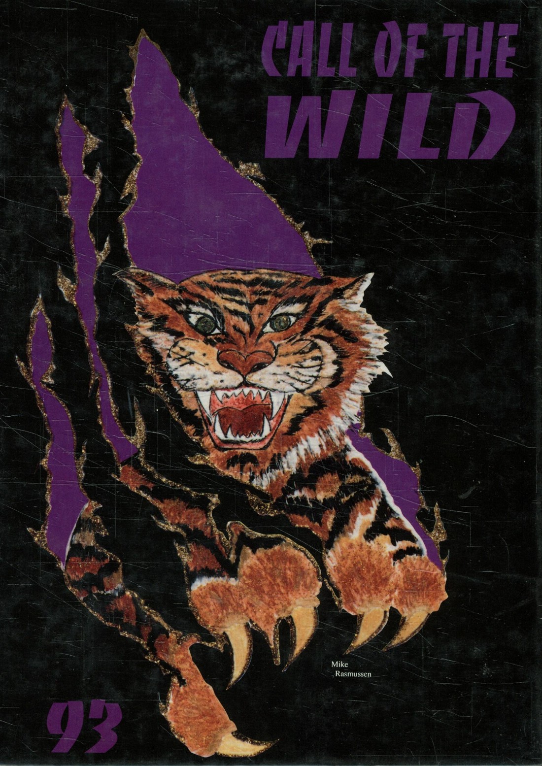 1993 yearbook from Aztec High School from Aztec, New Mexico for sale