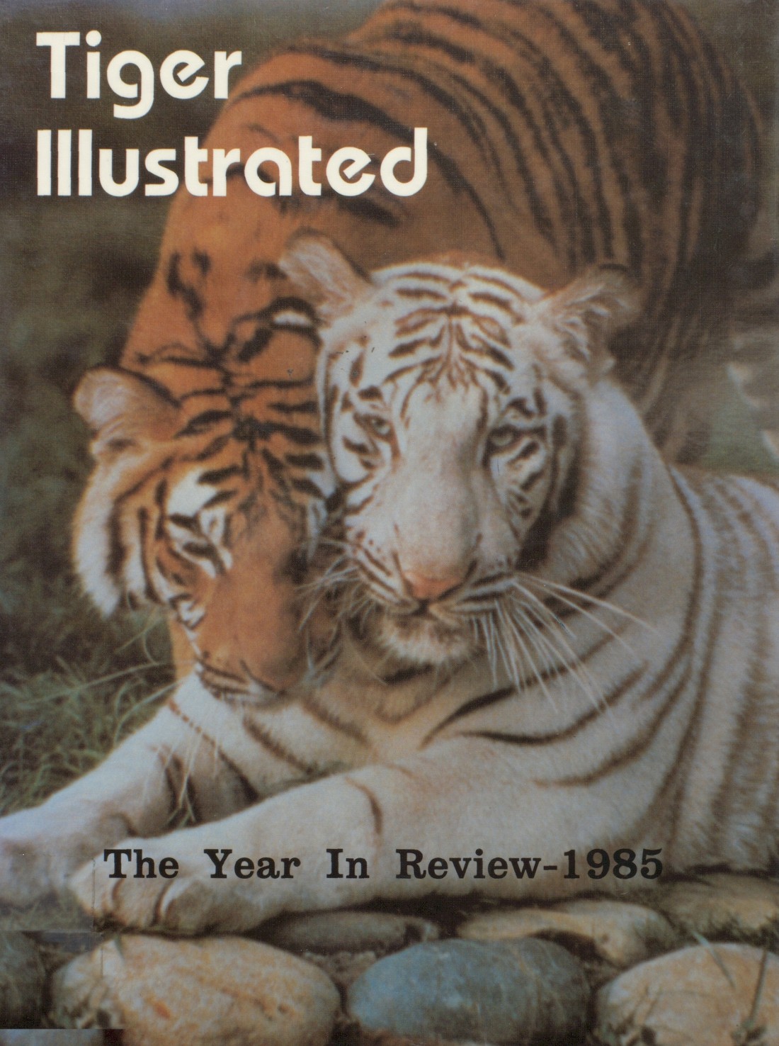 1985 yearbook from Clewiston High School from Clewiston, Florida