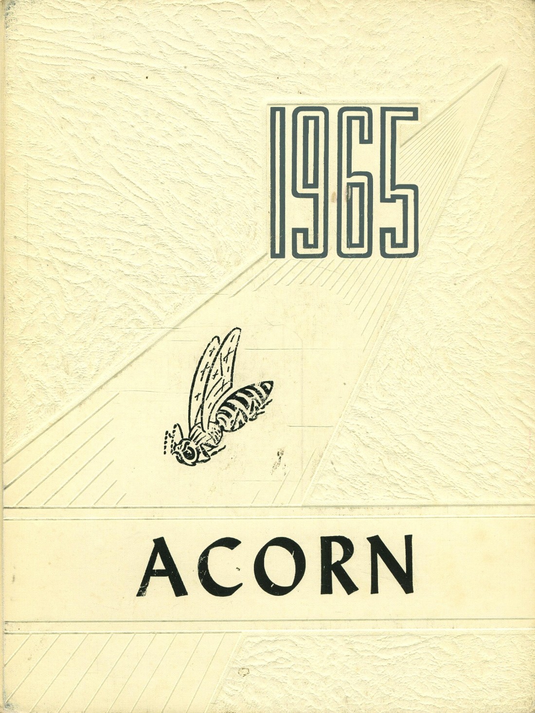 1965 yearbook from Cook County High School from Adel, Georgia
