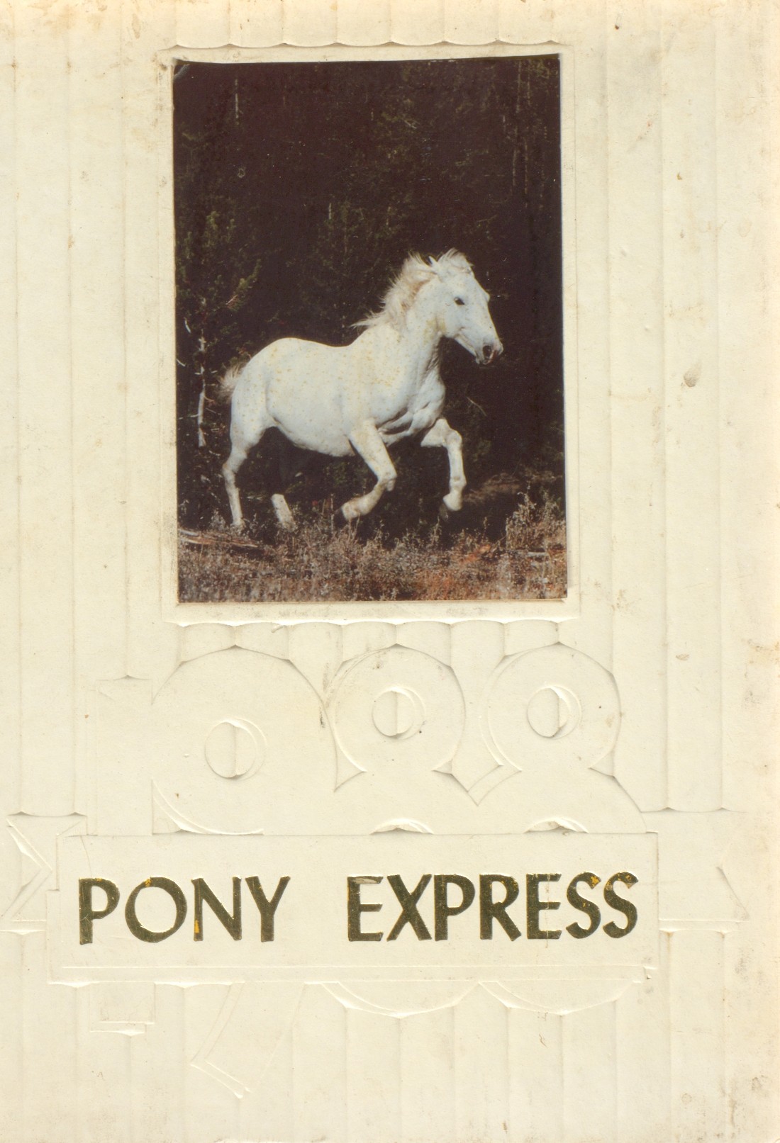 1988 yearbook from Nixon-Smiley High School from Nixon, Texas