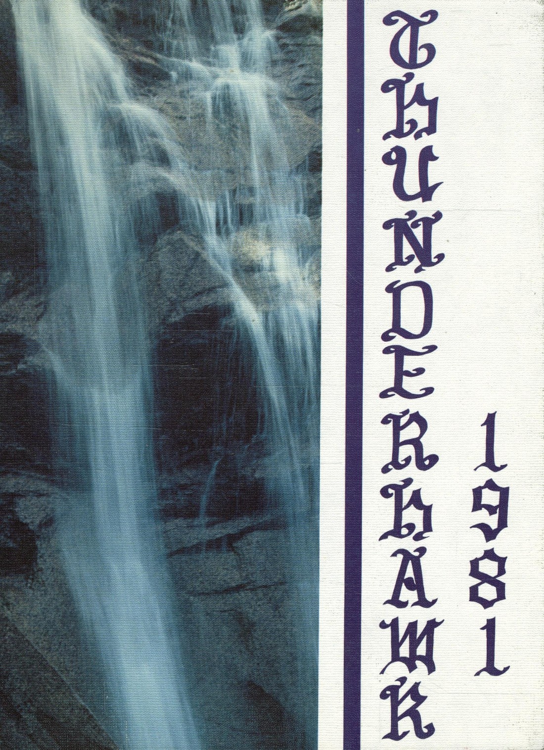 1981 yearbook from Ellicott High School from Ellicott, Colorado for sale