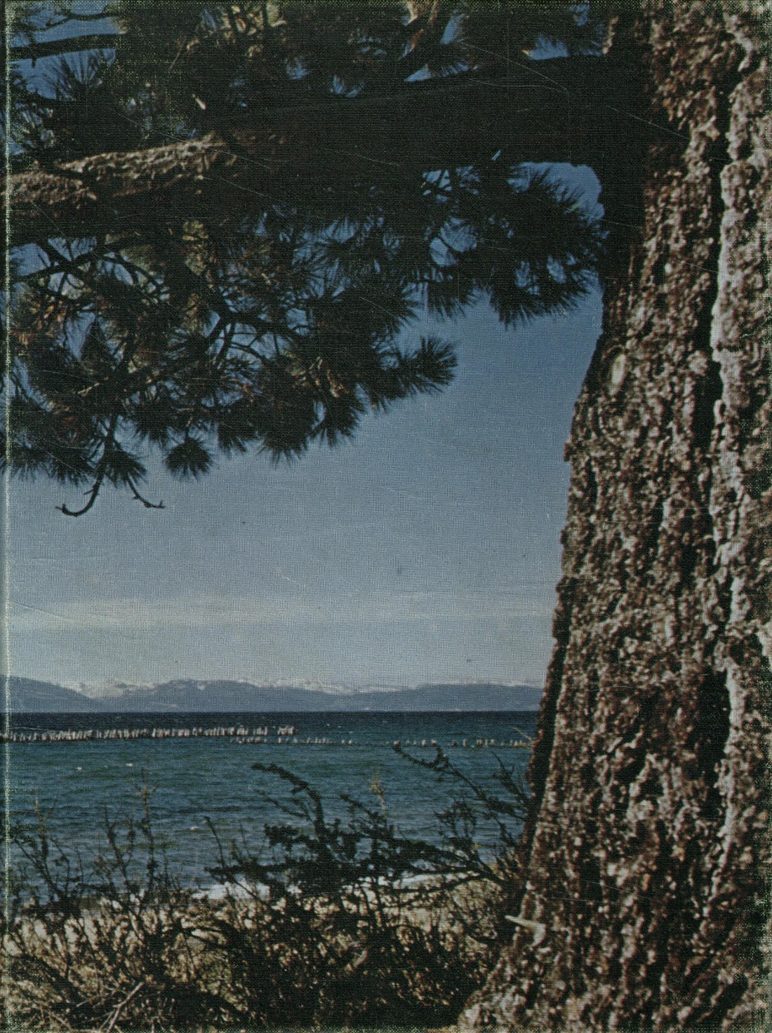 1974 yearbook from Whittell High School from Zephyr cove, Nevada for sale
