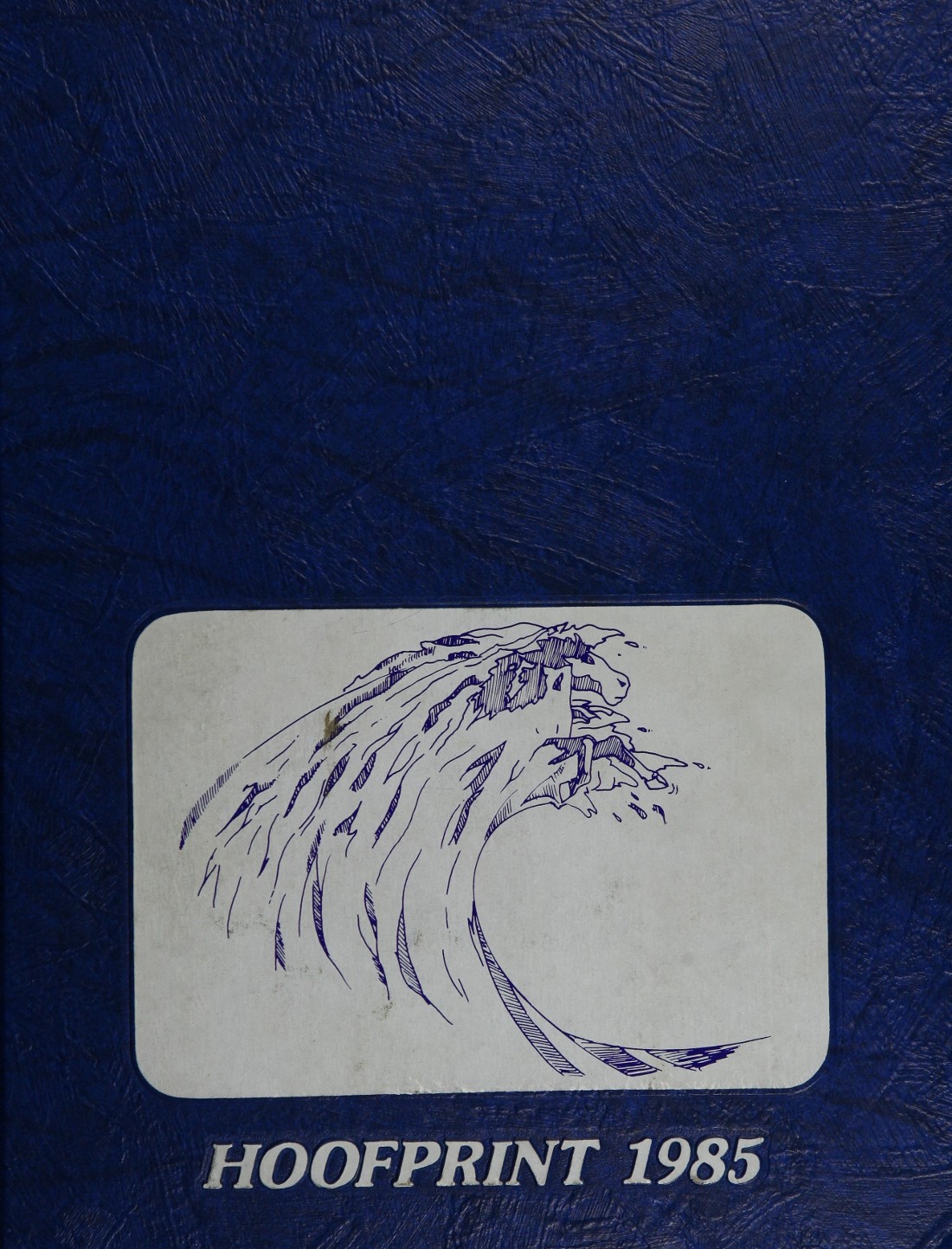 1985 yearbook from San Dieguito High School from Encinitas, California ...