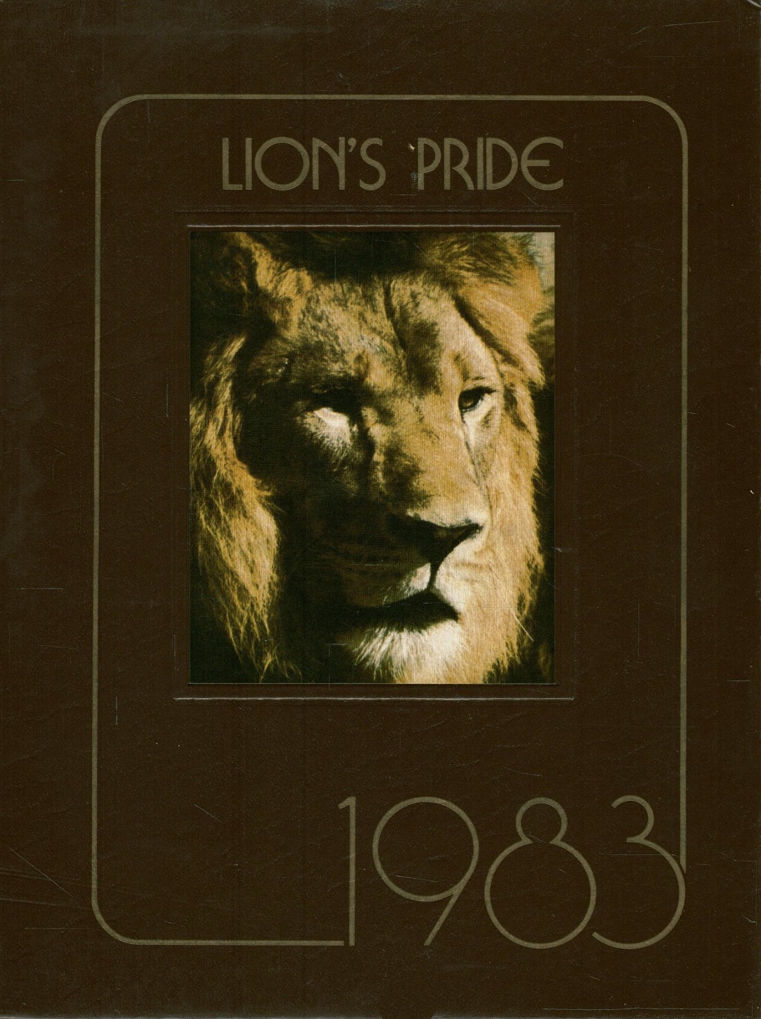 1983 yearbook from Clint High School from Clint, Texas for sale