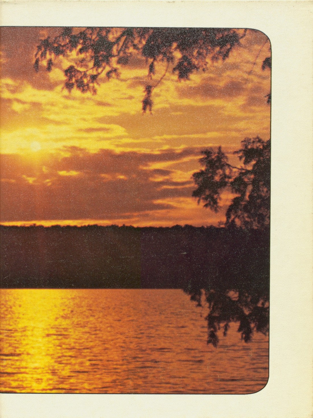 1977 yearbook from St. Alphonsus High School from Dearborn, Michigan